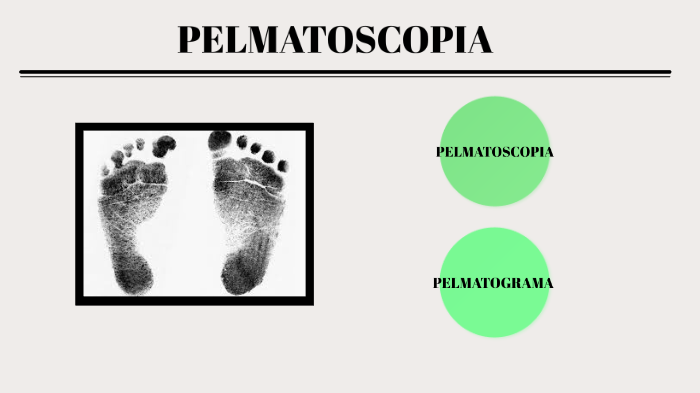 Pelmatoscopia by Manuela Ospina on Prezi
