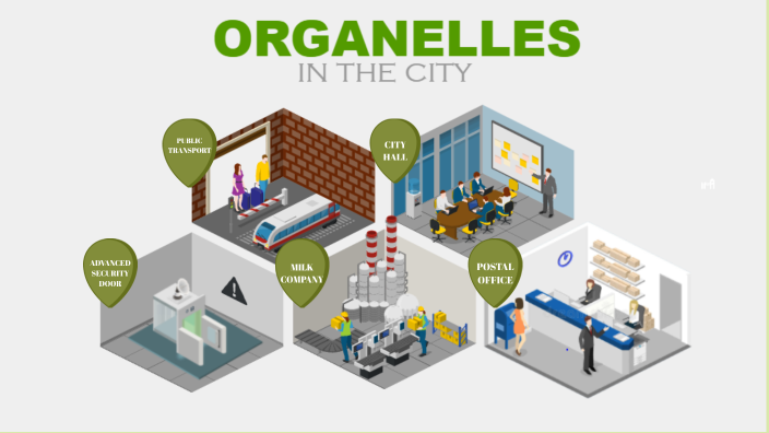 genbio_peta by Den Kael on Prezi