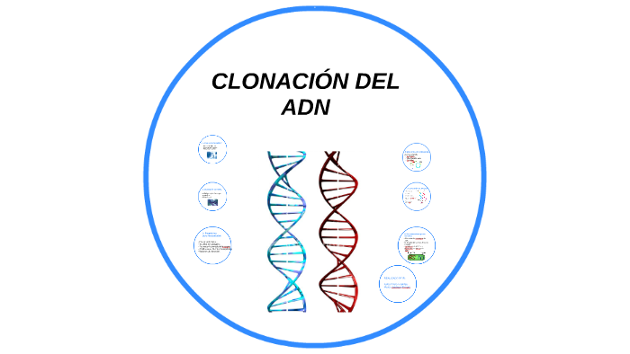 CLONACIÓN DEL ADN by Isabel Viera Fuentes on Prezi