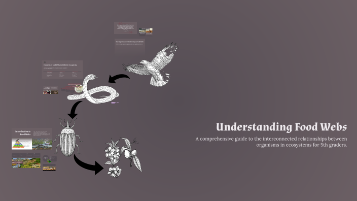 Understanding Food Webs by Pamela Britt-Jones on Prezi