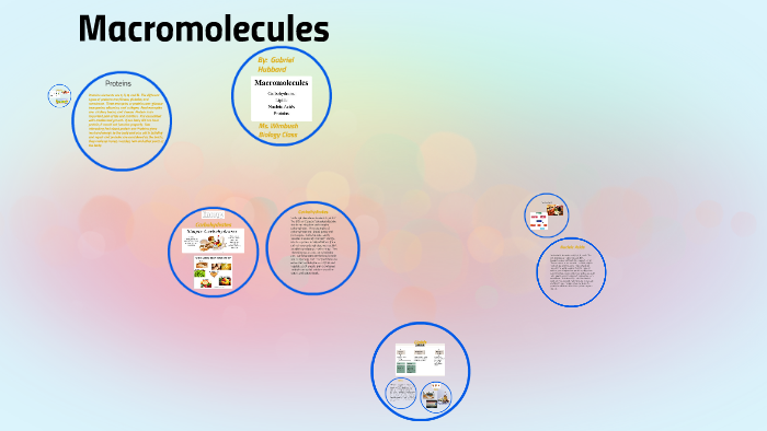 Macromolecules Project by Gabriel Hubbard on Prezi
