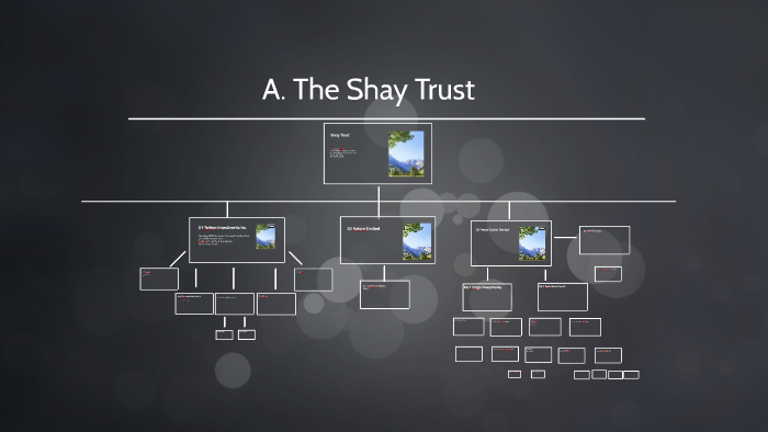 A. The Shay Trust by Isaac Khoudari Amram