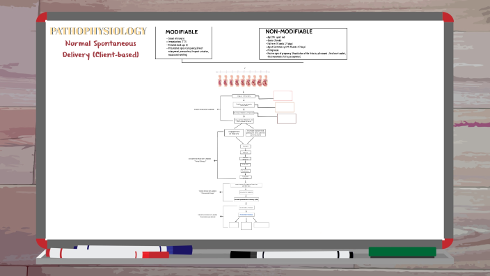 NSD PATHOPHYSIOLOGY by Hanna Lei Garcia on Prezi