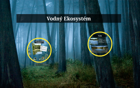 Vodný ekosystém by on Prezi