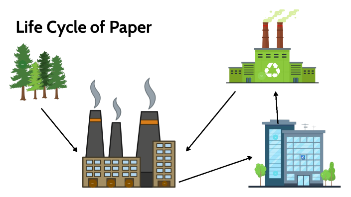 Life Cycle of Paper by Elizabeth Vandepeer on Prezi