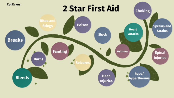2 star first aid by Megan Evans Woodward on Prezi