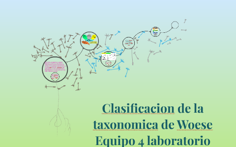 Clasificacion de la taxonomica de Woese by michelle infante on Prezi