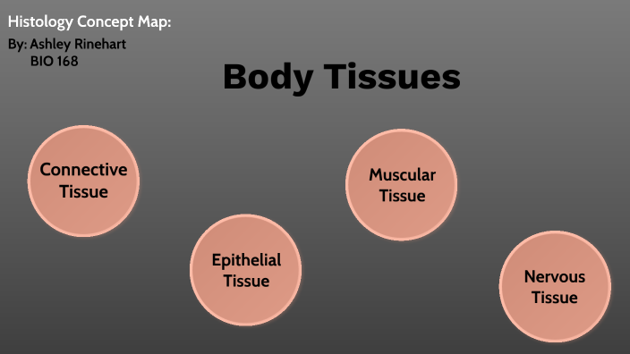 Histology Concept Map by Ashley Rinehart on Prezi