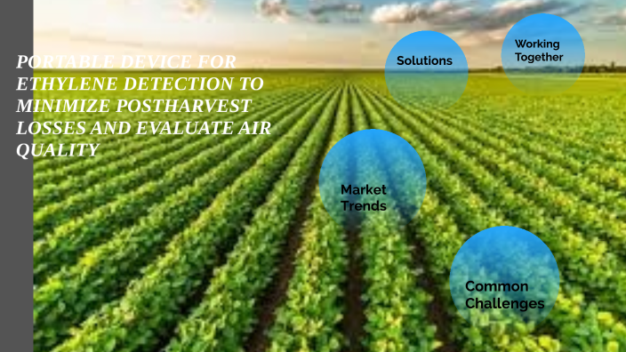 PORTABLE DEVICE FOR ETHYLENE DETECTION TO MINIMIZE POSTHARVEST LOSSES ...