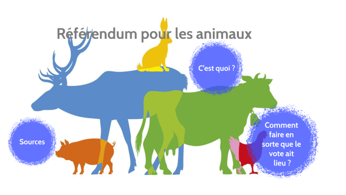Referendum pour les animaux by Lu Cie on Prezi