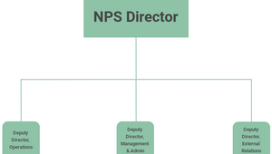 NPS flowchart by nate patterson on Prezi Design