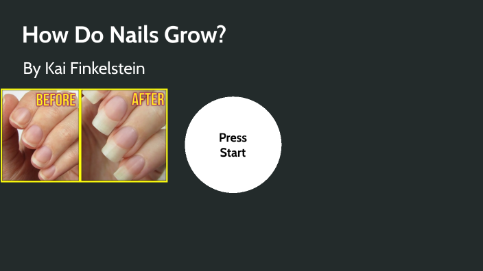How Do Nails Grow? by Kai Finkelstein on Prezi