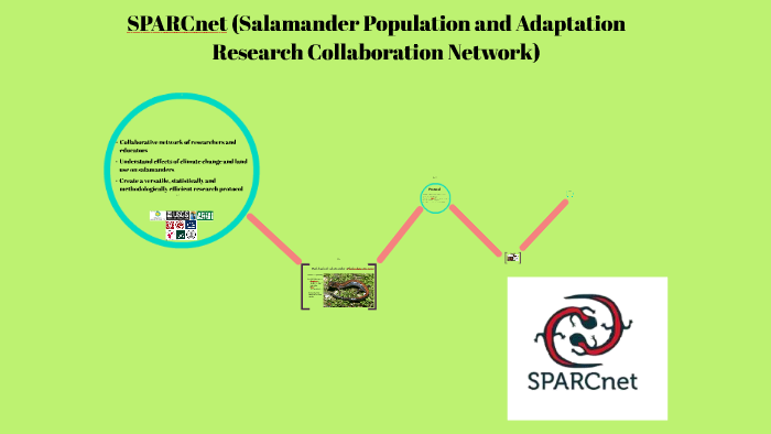 SPARCnet (Salamander Population and Adaptation Research Coll by audrey ...