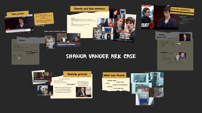 Shanda Vander Art case by Noemi Simeone on Prezi