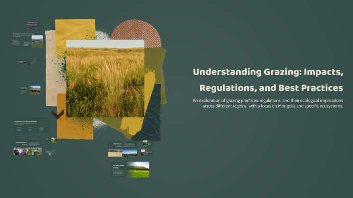 Understanding Grazing: Impacts, Regulations, and Best Practices by ...