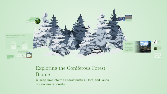 Exploring the Coniferous Forest Biome by clementine campbell on Prezi