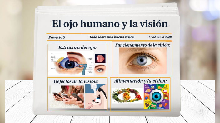 El ojo humano y la visión by PAOLA ARGUDO on Prezi