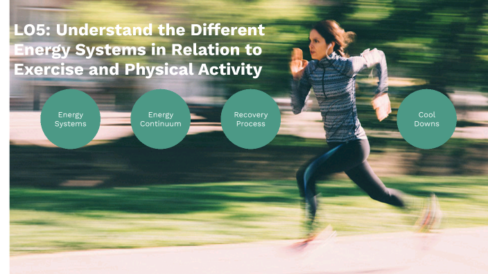 Understand the Different Energy Systems in Relation to Exercise and ...