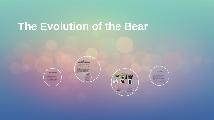 The Evolution of the Bear by Megan Jones on Prezi