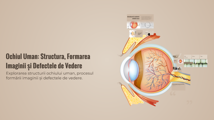 Ochiul Uman: Structura, Formarea Imaginii și Defectele de Vedere by ...