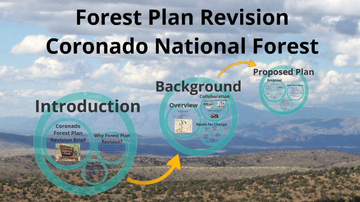Forest Plan Presentation - Public by Mindi Lehew
