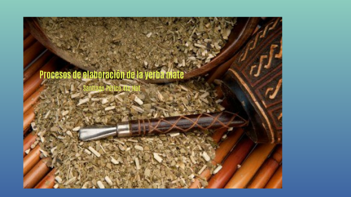 Proceso de elaboración de la yerba mate by Santiago Pèrico on Prezi