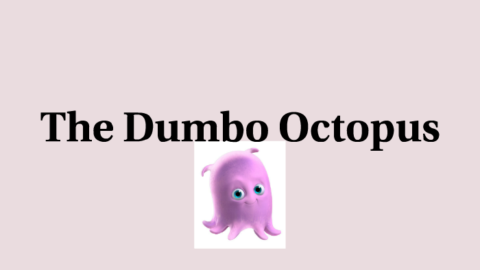 Dumbo Octopus Nemo