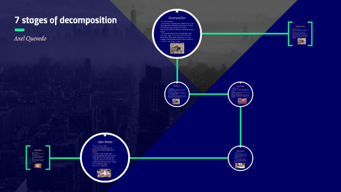 7 stages of decomposition by axel Quevedo on Prezi
