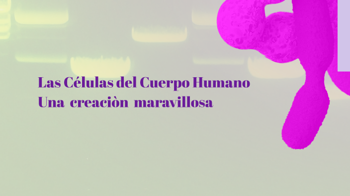Las Células del Cuerpo Humano by MARICELA RUBIO on Prezi