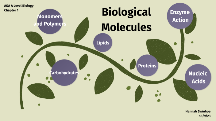 Biological Molecules AQA A Level Biology by Hannah Swinhoe on Prezi