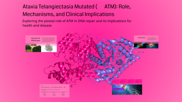 Ataxia Telangiectasia Mutated (ATM): Role, Mechanisms, and Clinical ...