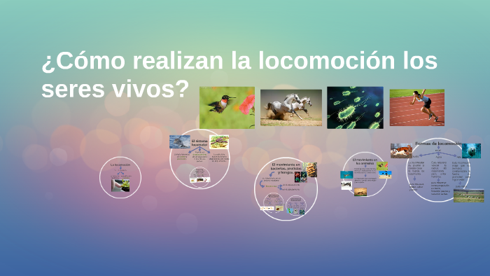 La locomoción en los seres vivos by Liliana González Bermúdez on Prezi