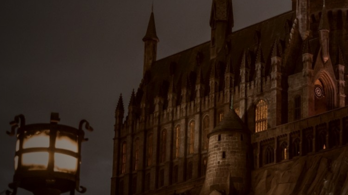 Exploring the Wizarding World: Harry Potter and the Order of the ...