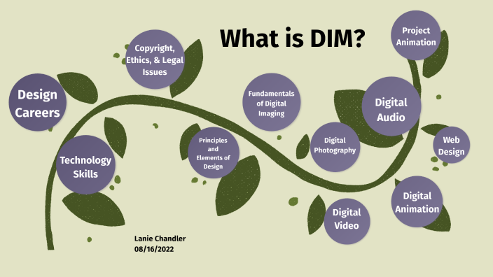What is DIM? by lanie chandler on Prezi