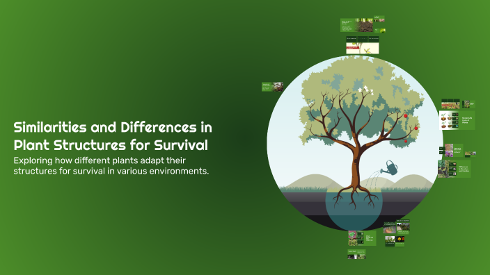 Similarities and Differences in Plant Structures for Survival by ...