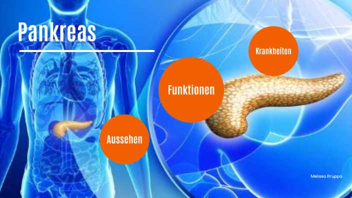 Pankreas by Melissa Kruppa on Prezi