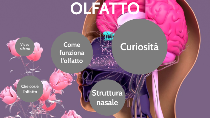 OLFATTO by ROSSI LORENZO on Prezi