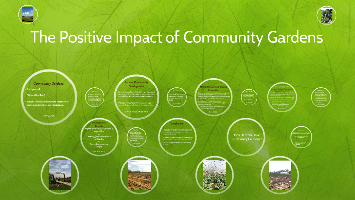 The Positive Impact of Community Gardens by Austin Wilson on Prezi