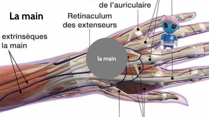 Les doigts by LefeMe2 LefeMe2 on Prezi