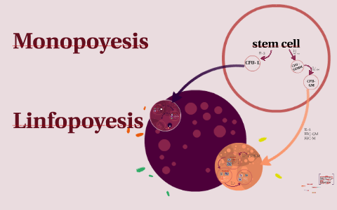 Monopoyesis by Ruthii Amulef Varela on Prezi
