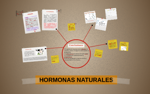 HORMONAS NATURALES by LAURA RONDAN on Prezi