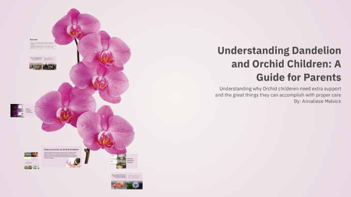 Understanding Dandelion vs. Orchid Children: A Guide for Parents by ...
