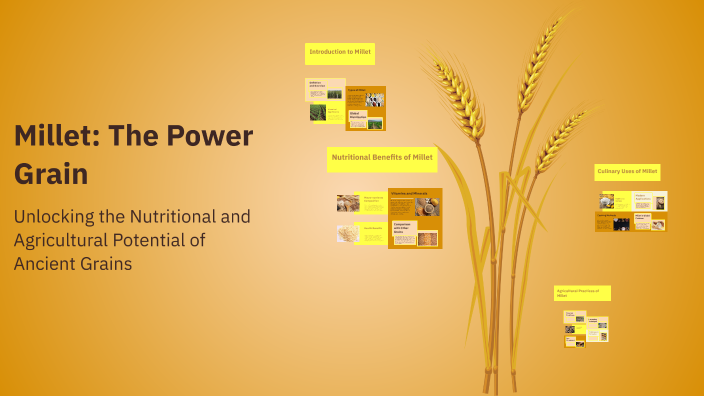 Millet: The Power Grain by John Philip Xavier on Prezi