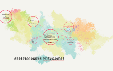 Streptococcus Pneumoniae by Rhona Auckland