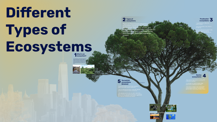 Different Types of Ecosystems by Sara Legarda on Prezi