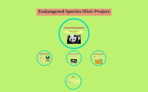 Endangered Species Mini-Project by Daniela Flores on Prezi
