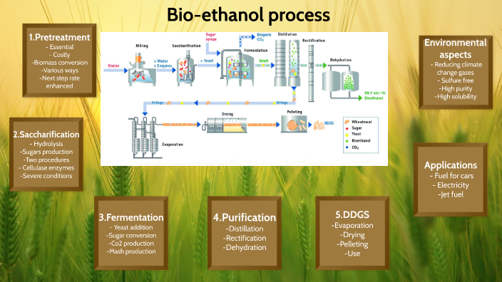 Bio-ethanol process by David Vauris on Prezi