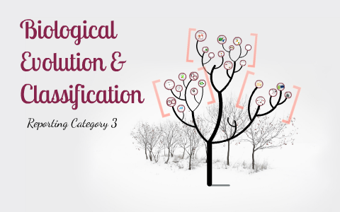 Biological Classification & Evolution by An Cao on Prezi