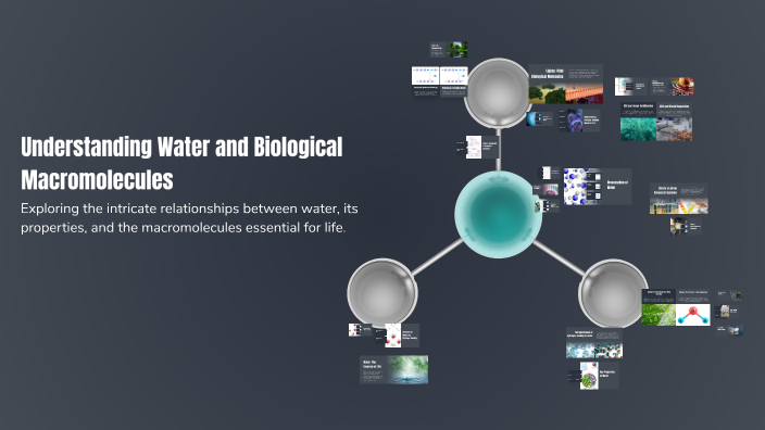 Understanding Water and Biological Macromolecules by Advik Venkatesh on ...