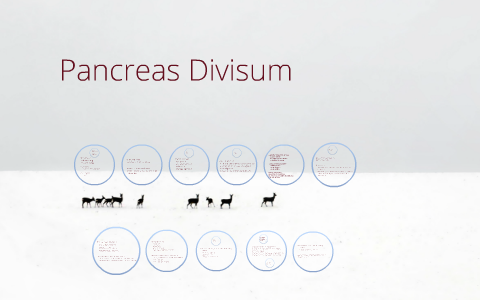 Pancreas divisum by Young Kim on Prezi